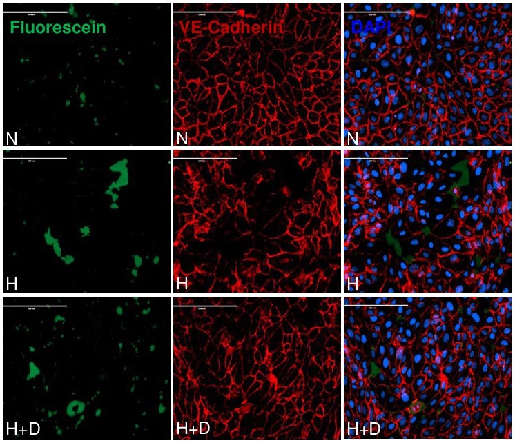 Cell Physiol Biochem