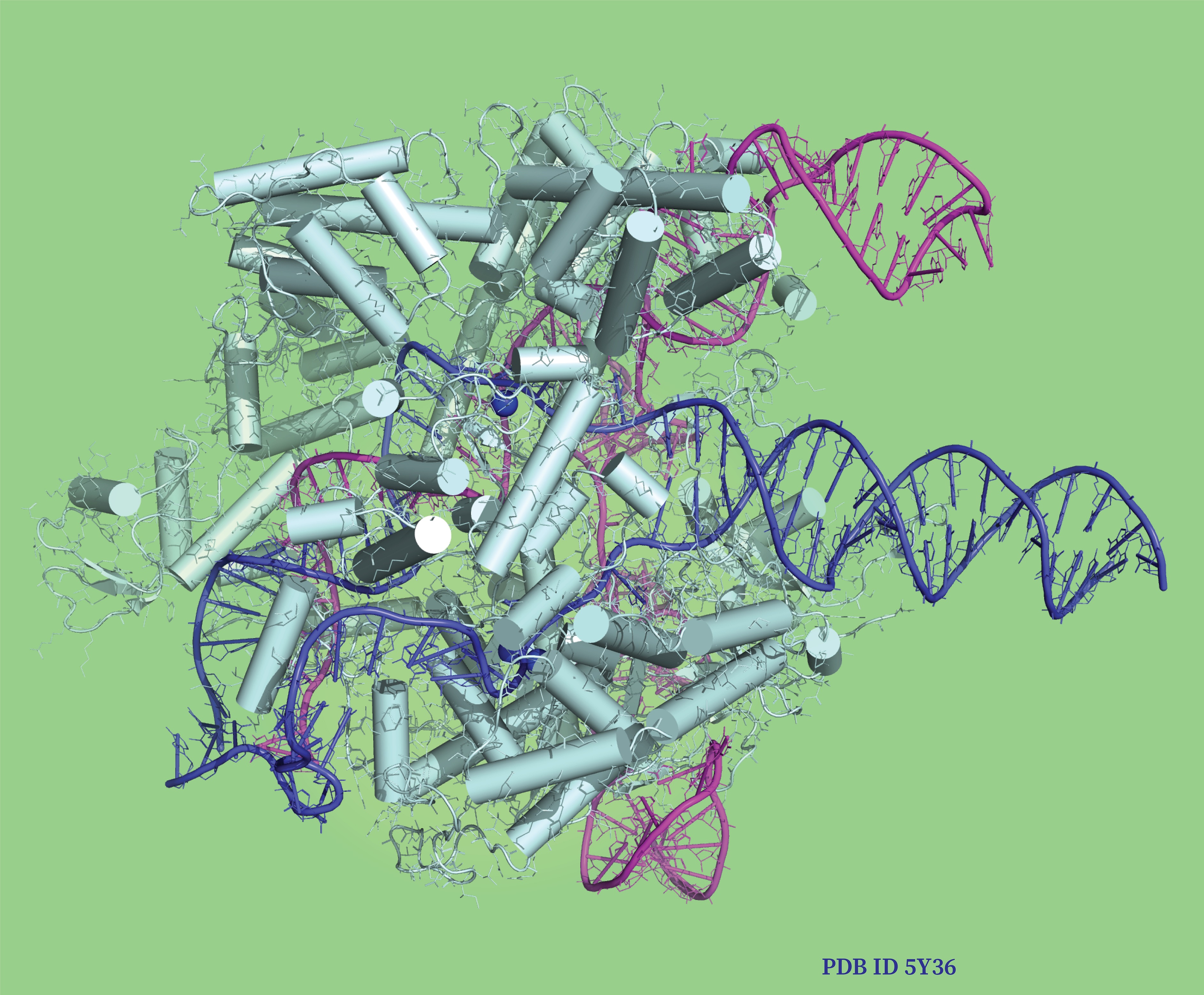 Cell Physiol Biochem